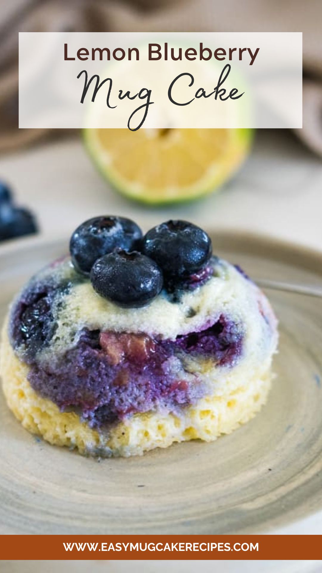 Keto Lemon Blueberry Mug Cake