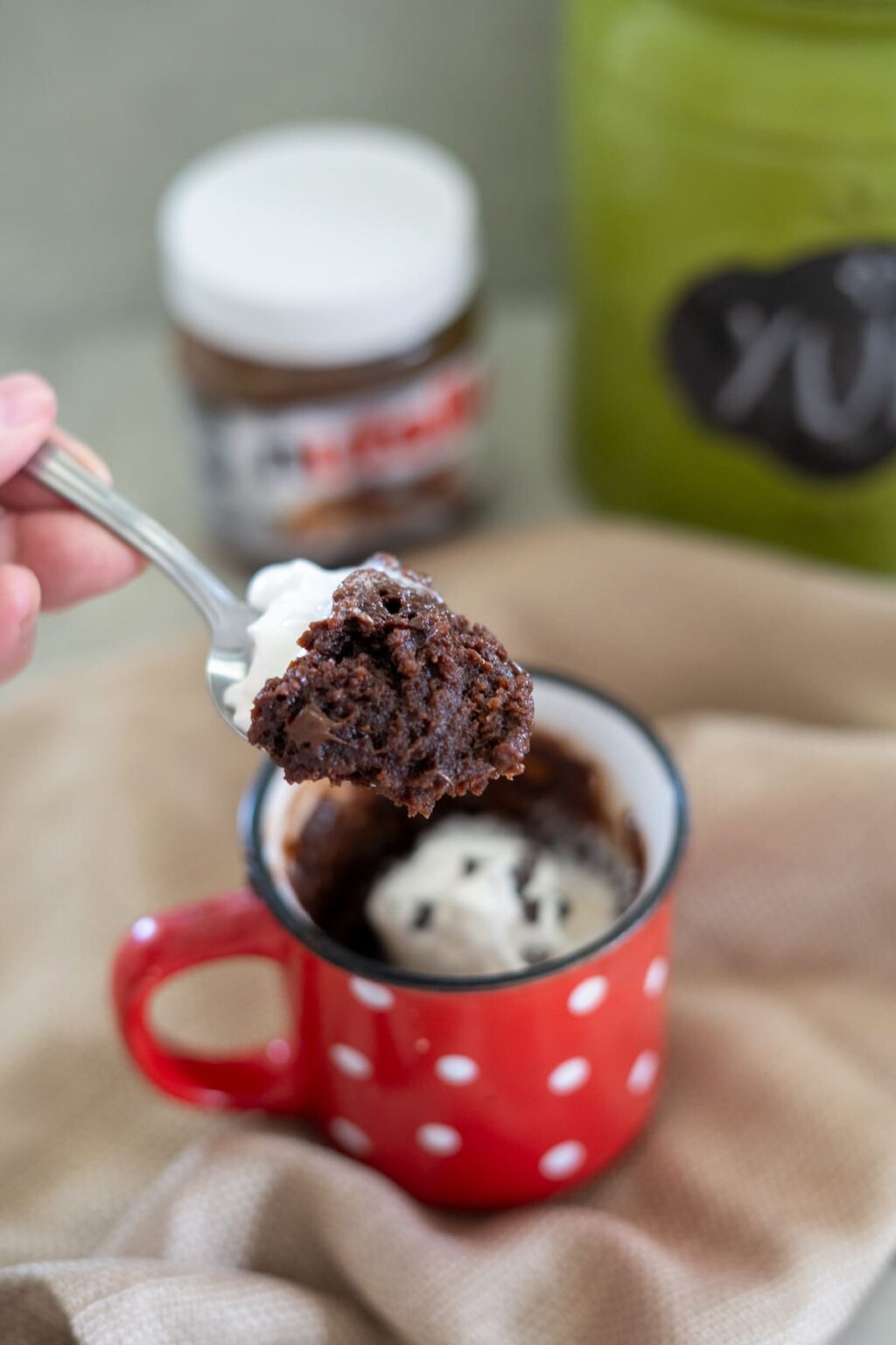 Nutella Mug Cake Recipe
